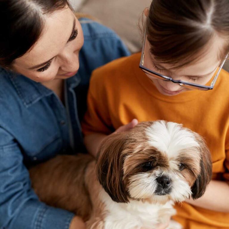 Pet Therapy for Autism: Exploring 8 Benefits of Animal-Assisted Therapy ...