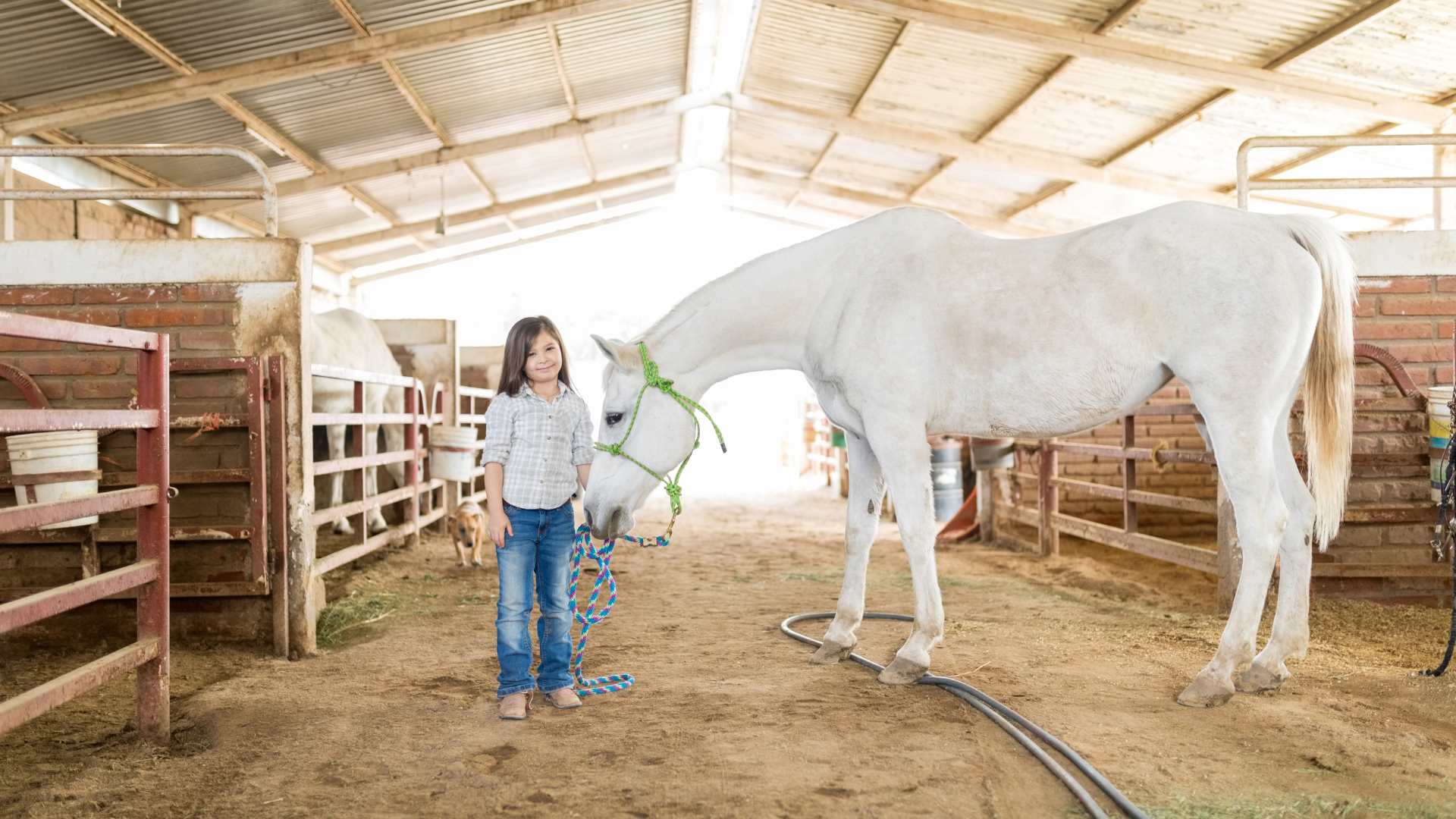 Pet Therapy for Autism: Exploring 8 Benefits of Animal-Assisted Therapy ...